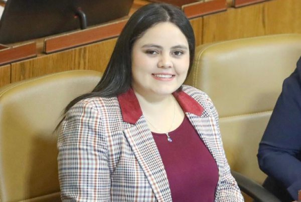 Diputada por Ñuble presenta proyecto para proteger la salud mental de ...