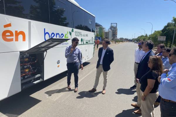 Beneo Orafti implementa medidas de inclusión y fomento de la diversidad ...