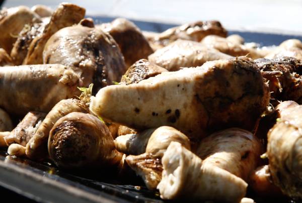 Reconocen a Beneo Orafti entre las mejores pagadoras del país – La ...